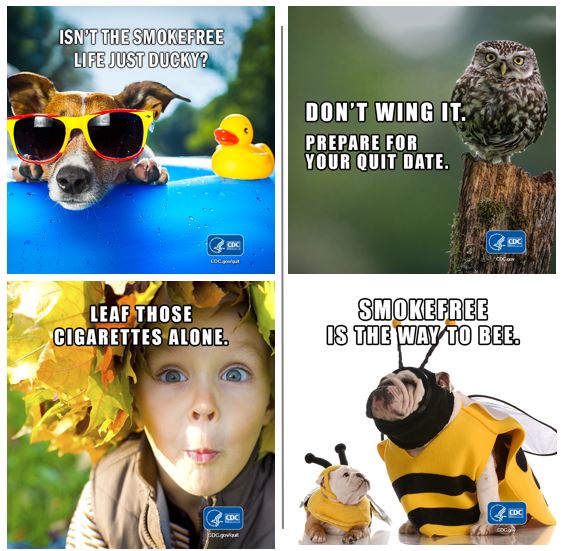Media Campaign Resource Center (MCRC) Ad: CDC Tobacco Free: Memes