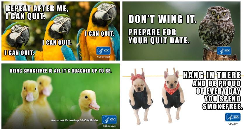 Media Campaign Resource Center (MCRC) Ad: CDC Tobacco Free: Memes