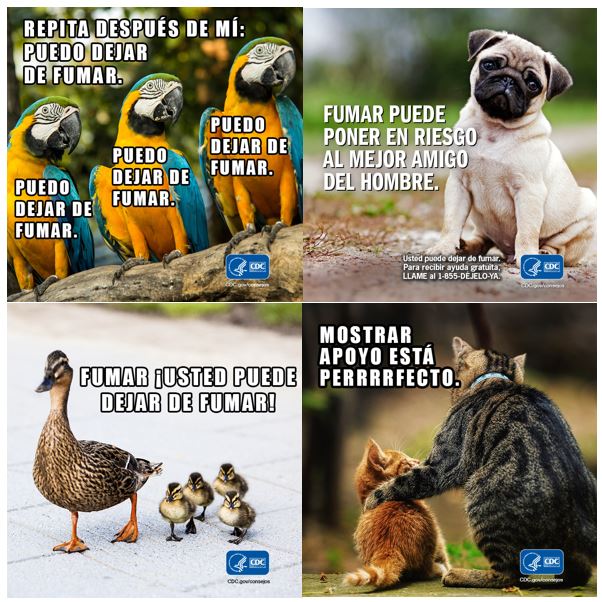 Media Campaign Resource Center (MCRC) Ad: CDC Tobacco Free: Memes